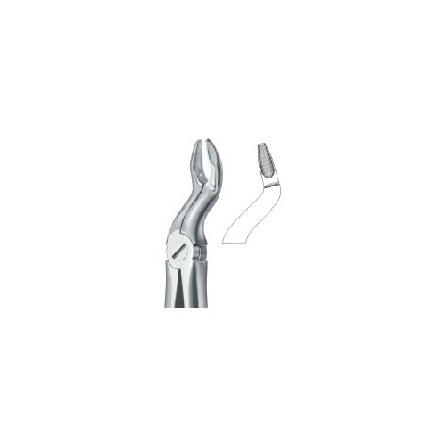 Tooth Extracting Forceps(ENG) – Papa Instruments
