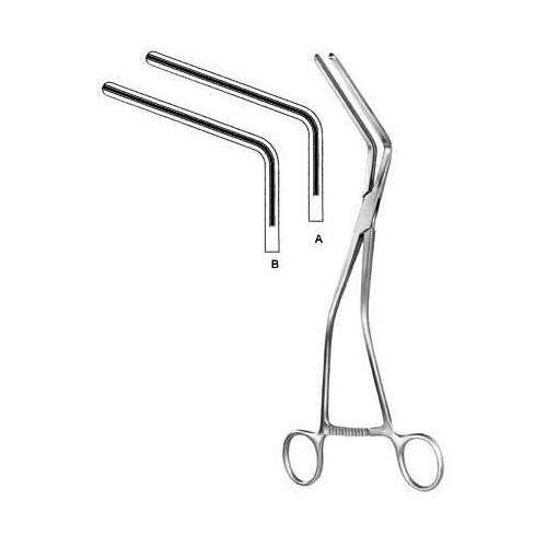 Hayes – Papa Instruments