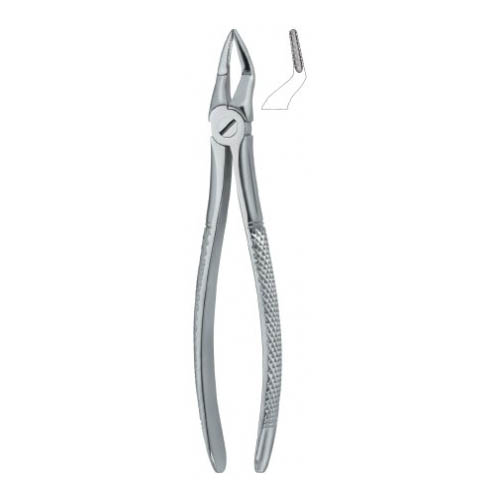 Roots 51S – Papa Instruments